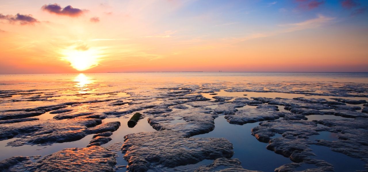 Waddengebied mooiste natuurgebied van Nederland - WestCord Hotels